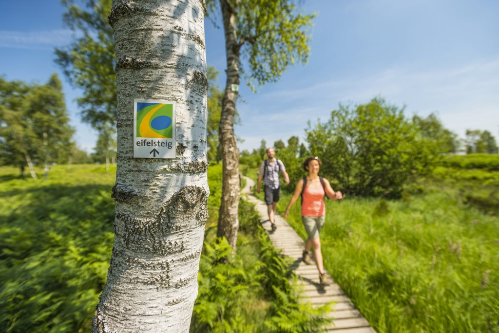 Hiking tour 01: The complete Eifelsteig trail