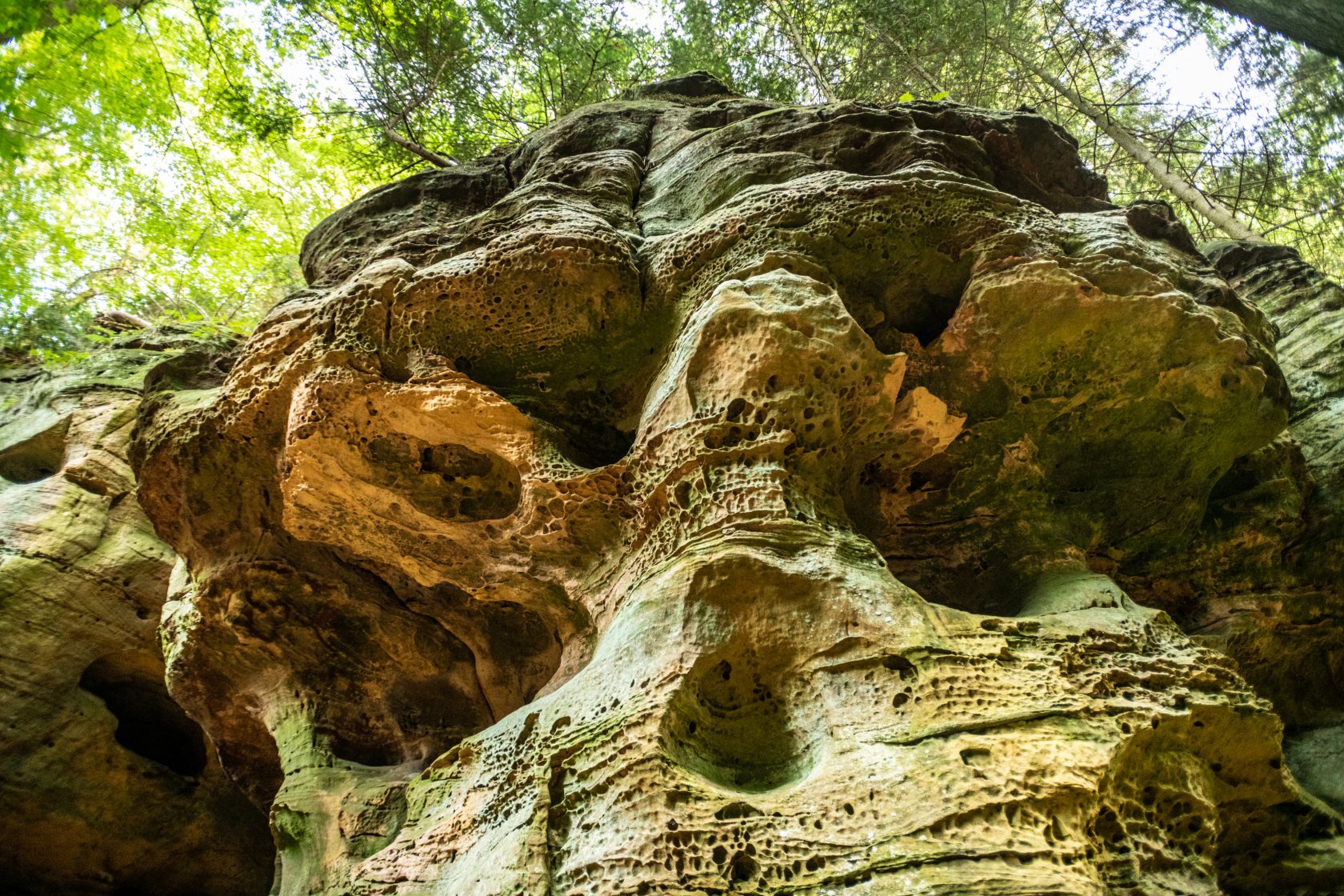 Felsenweg 1 - Weilerbach - Hohllay | Wanderwege NaturWanderPark delux