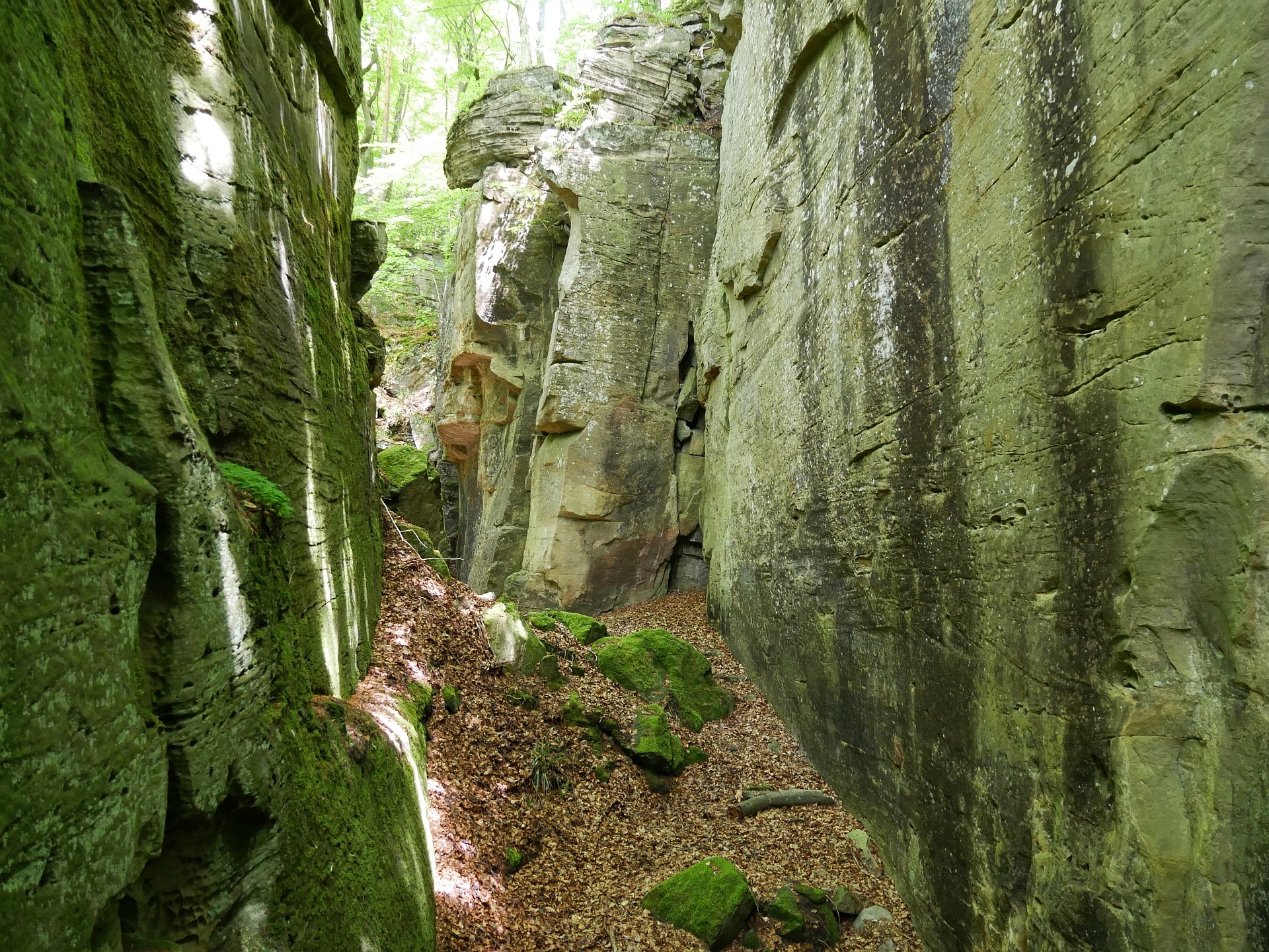 Rundwanderweg des Naturpark Südeifel Nr. 57 - Bollendorf-Weilerbach