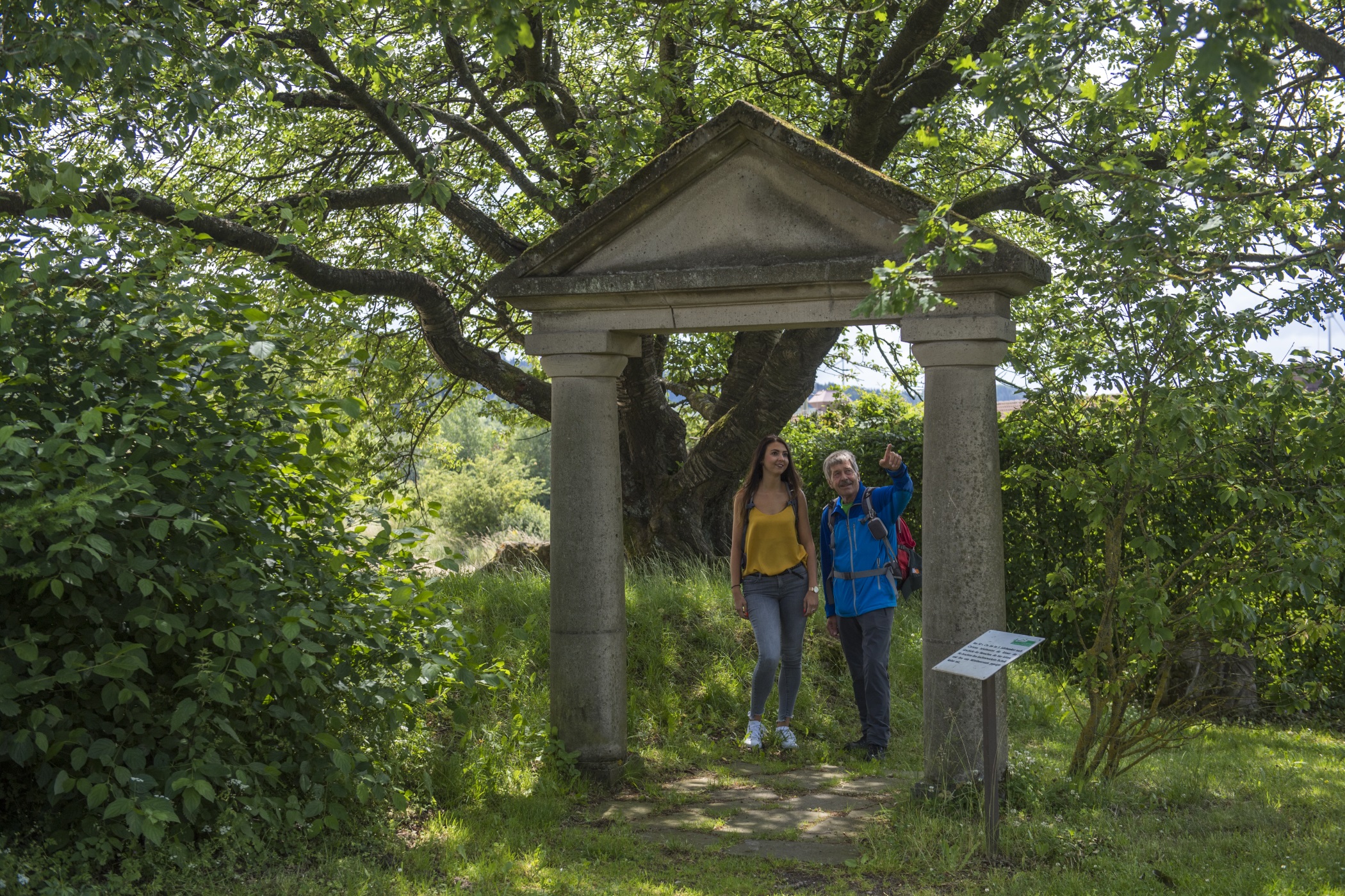 Laacher See, Maria Laach, Vulkanregion, Vulkan-Expreß, Schloss Bürresheim