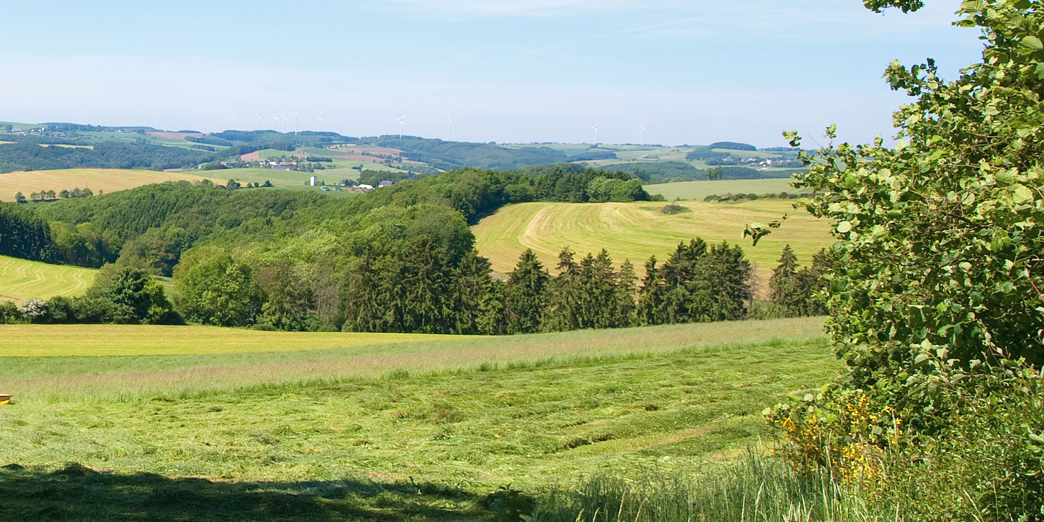 Rundwanderweg des Naturpark Südeifel Nr. 51 Kruchten-Nusbaum