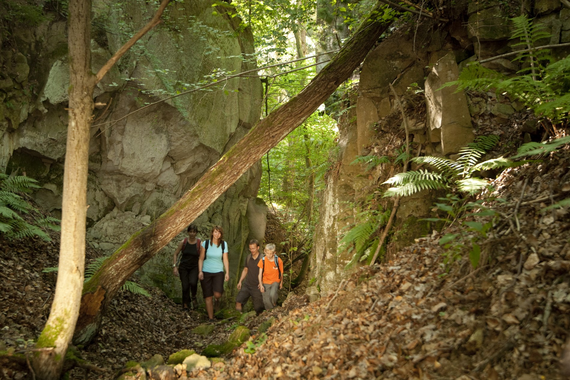 Traumpfad Vier-Berge-Tour